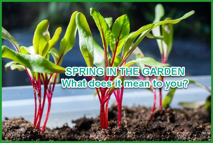 Pod Squad - Episode 11 - Interviewing Mr Yates - Margaret River Primary ...